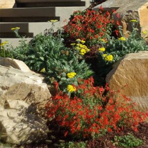 Boulder Landscape Design & Install | Matrix Gardens Boulder