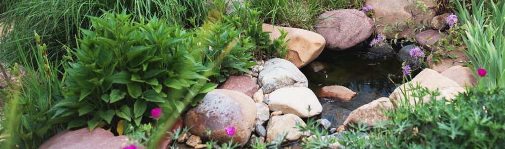 Landscaping Articles | Matrix Gardens Boulder